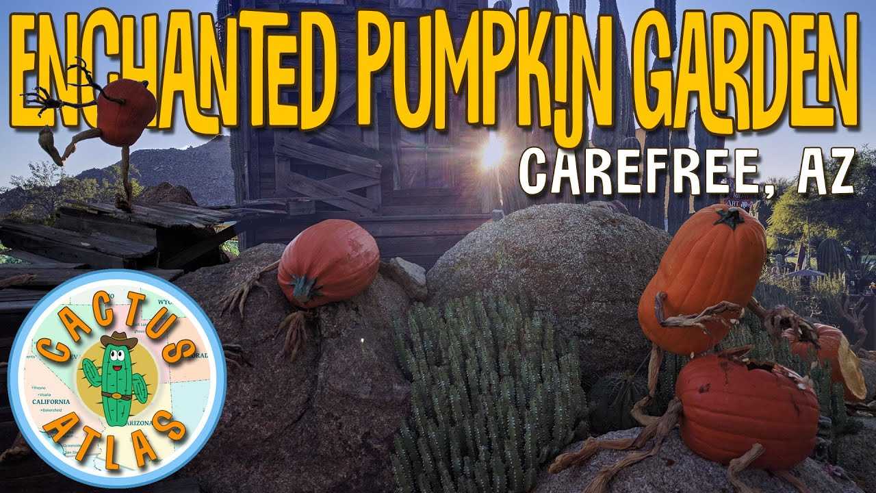 Videos - Cactus Atlas