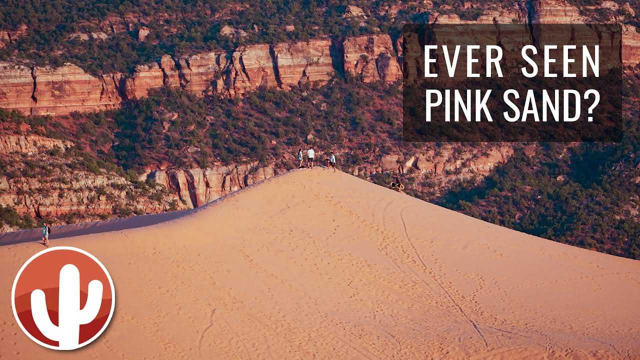 The Warm Splendor of Coral Pink Sand Dunes State Park - Cactus Atlas