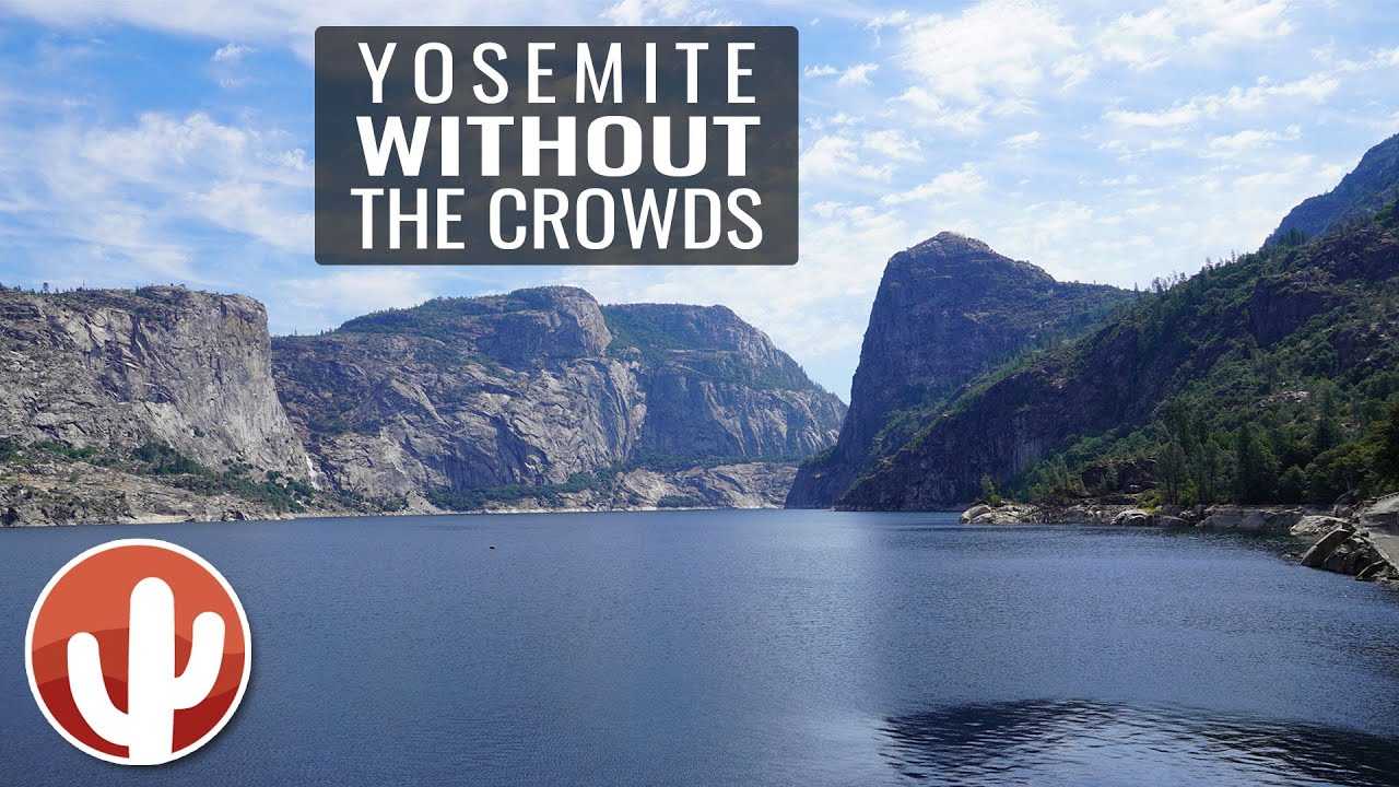 Trail of 100 Giants | Hours, Prices, Directions and Information ...